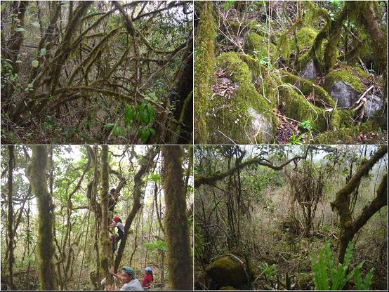 Bioma De Bosque Seco :: Un Viaje Por Colombia!